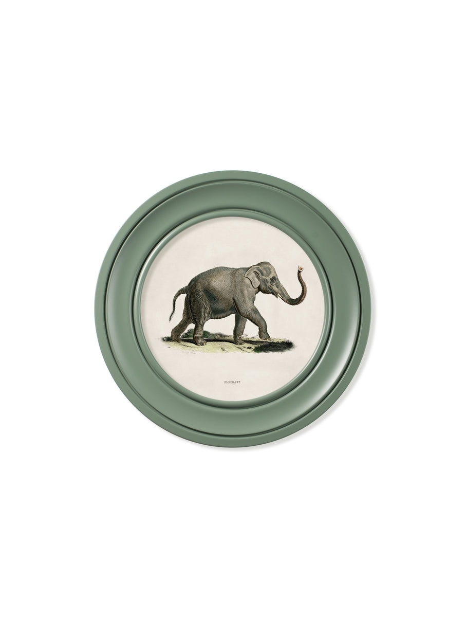 c.1846 Elephants in Round Frame Green – T A Interiors