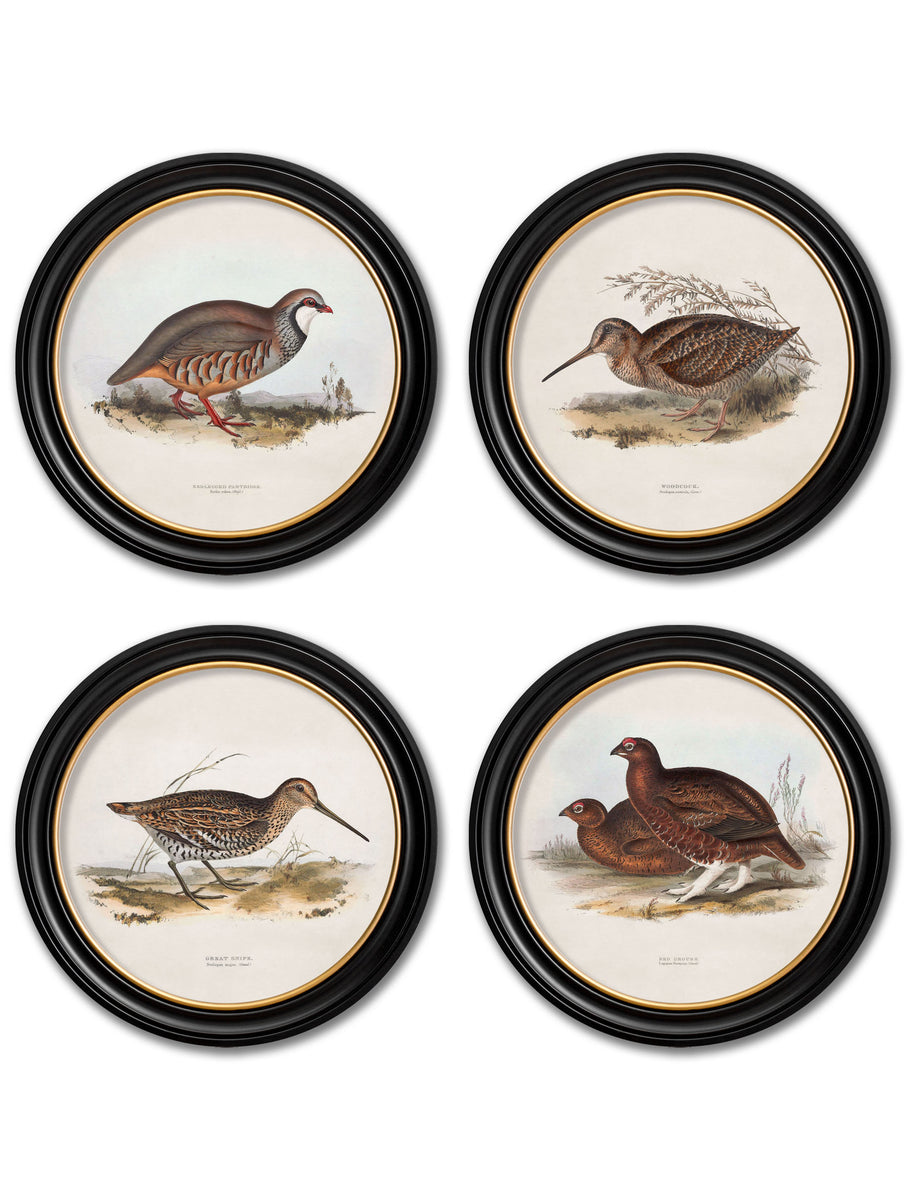 c.1837's British Game Birds - Round – T A Interiors
