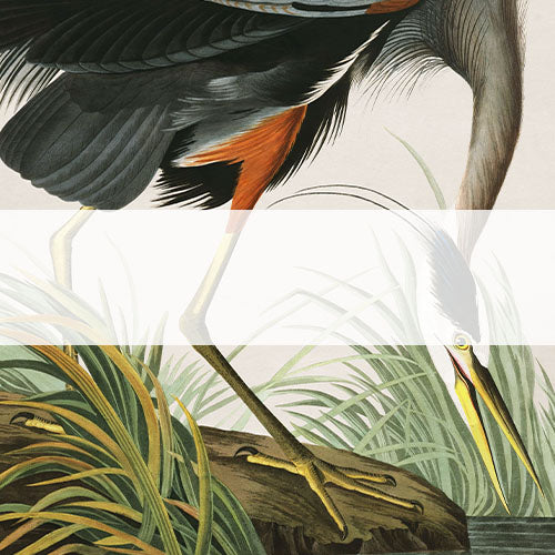 TA Interiors – T A Interiors