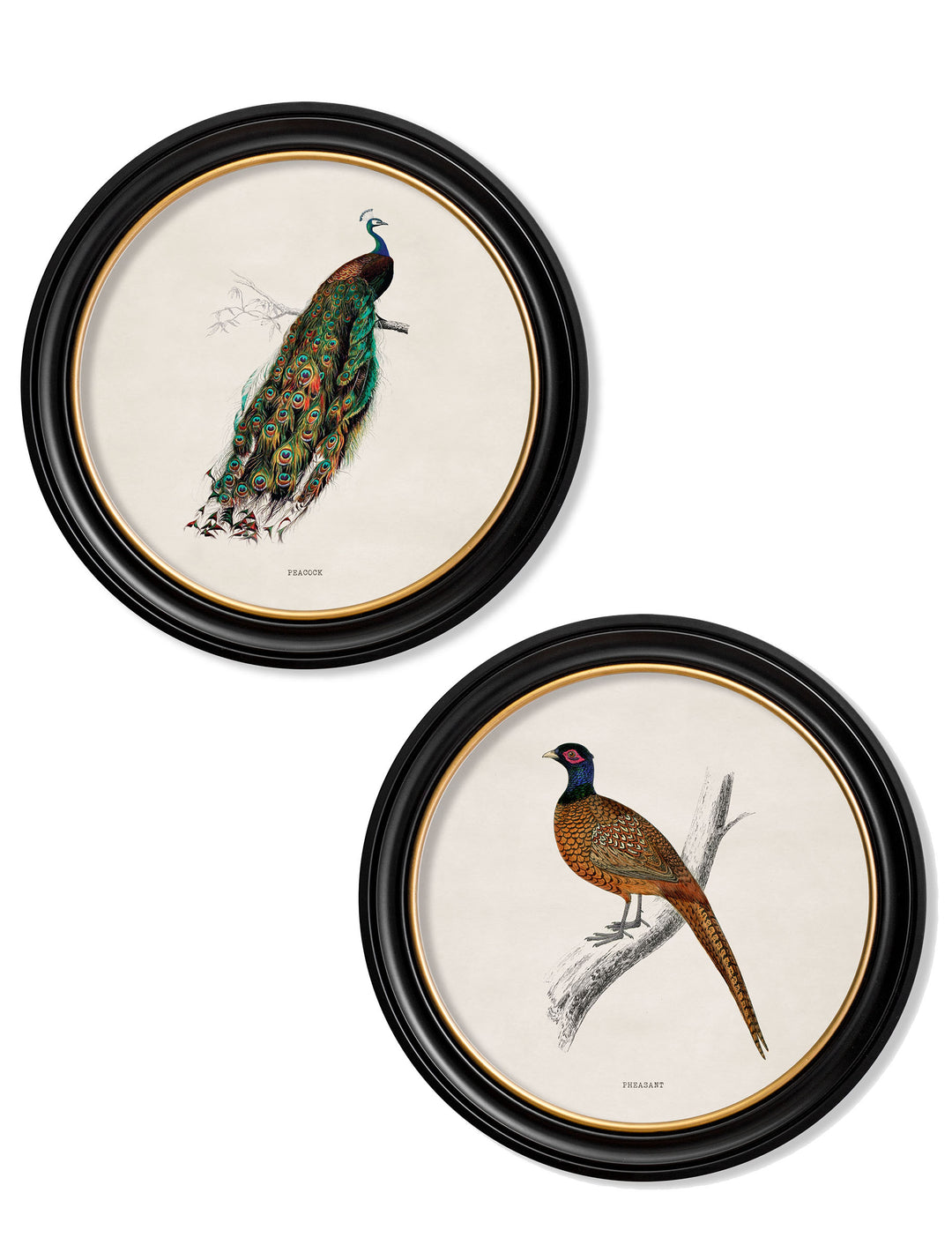 Round Frames – T A Interiors
